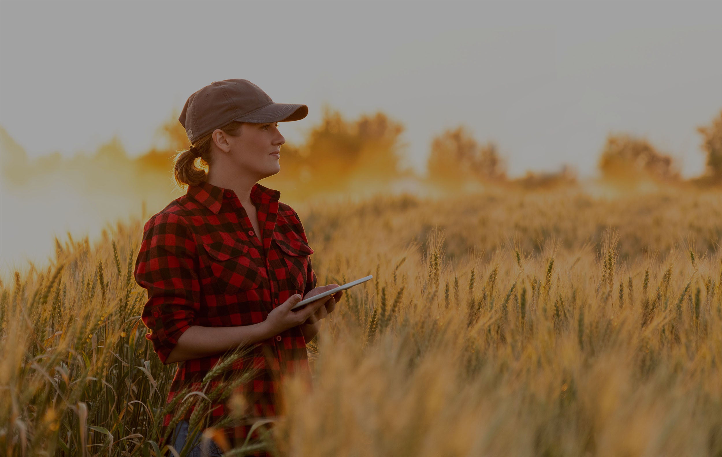 Orange Wireless | Get Fast, Reliable Rural 5G Internet